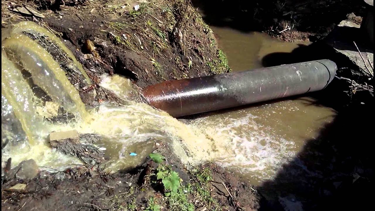 Griciupio parkas 2014 rugpjutis - YouTube