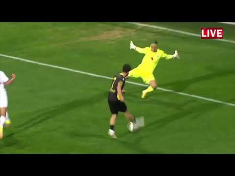 Altınordu-Yeni Malatyaspor HD Maç özeti