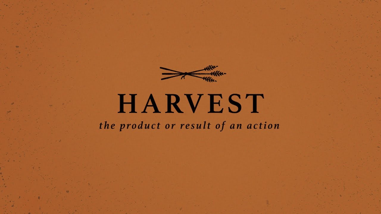 Sowing & Reaping | Pastor Jeff Kapusta | Centerpoint Church - YouTube