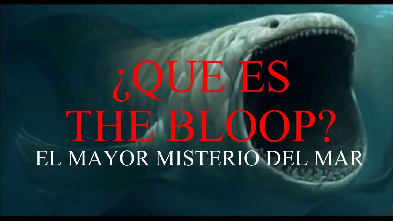 ¿QUE ES THE BLOOP? El Gran Misterio del Océano || DarkSite - YouTube
