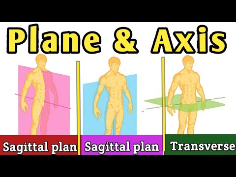 Plane & Axis / Anatomy of plane & axis movements / biomechanics of ...