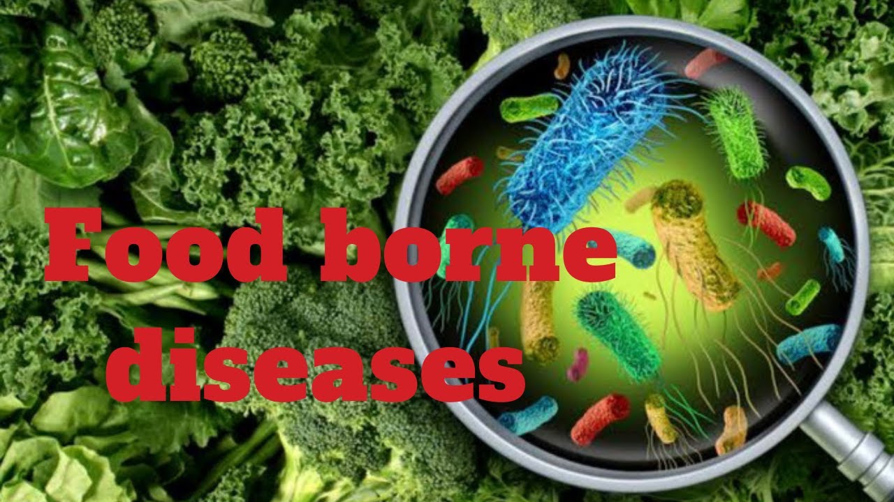 FOOD BORNE DISEASES NUTRITION PPT - YouTube