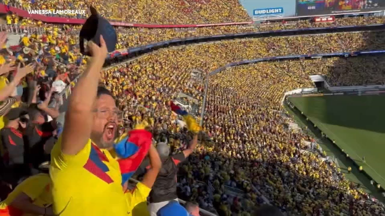 Soccer fans brave heat to watch Brazil vs. Colombia in Copa America at ...