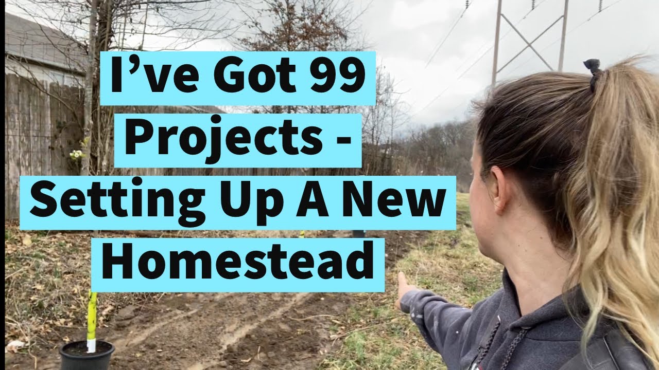 I've Got 99 Projects!! // Setting Up A New Homestead - YouTube