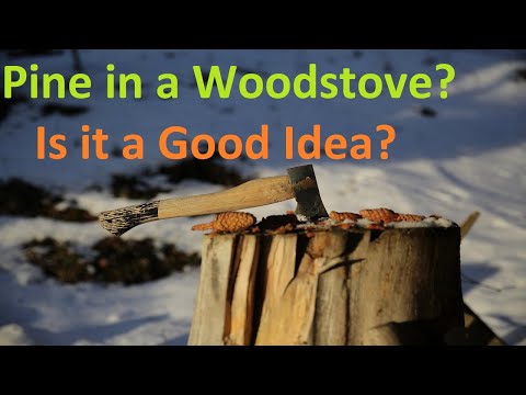 Can You Burn Pine Needles In A Wood Stove