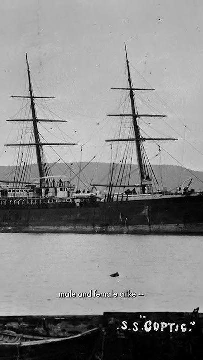 How Do You Contain the Plague? #Shorts | Plague at the Golden Gate ...