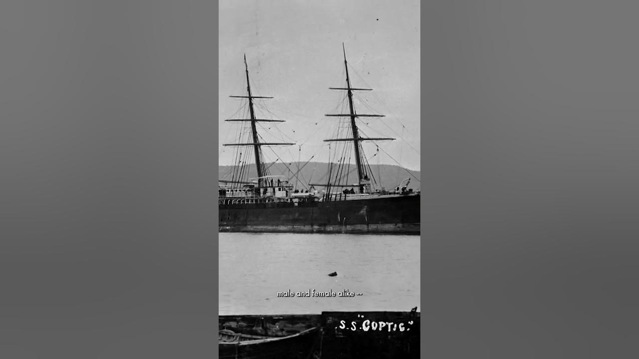 How Do You Contain the Plague? #Shorts | Plague at the Golden Gate ...