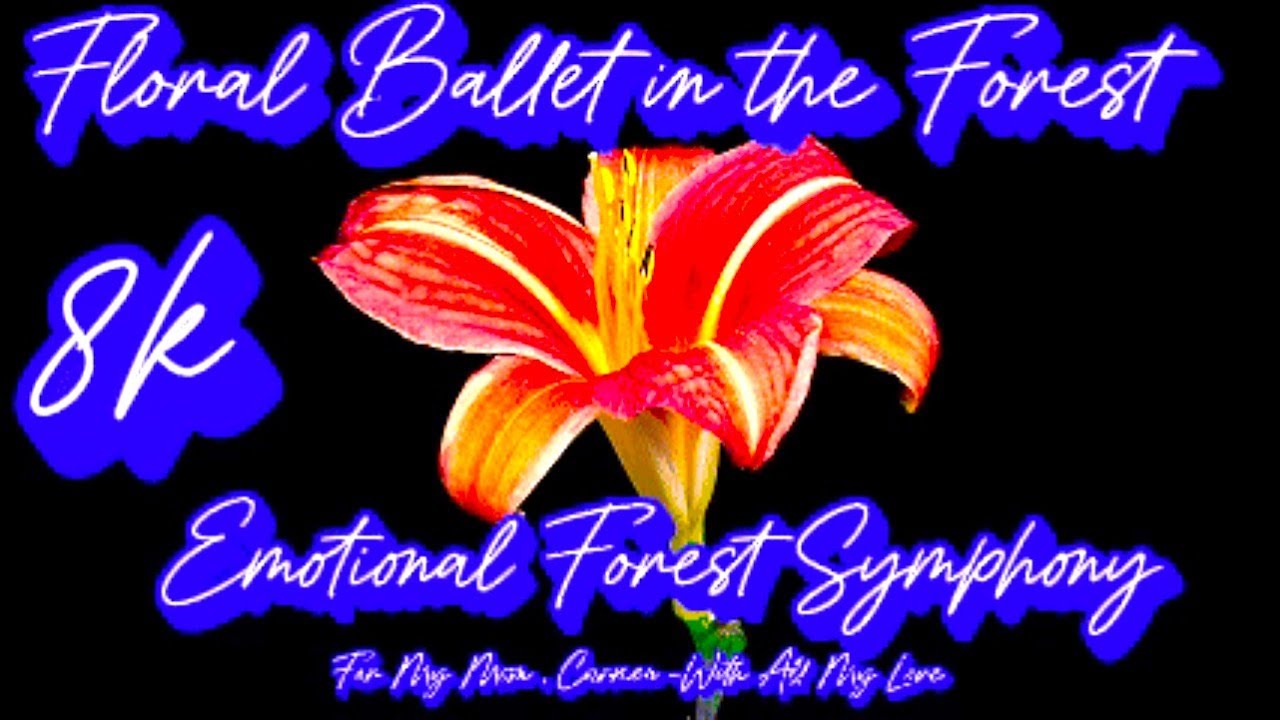 Floral Ballet in the Forest 🌿🎻 A Cinematic Dance of Nature - YouTube