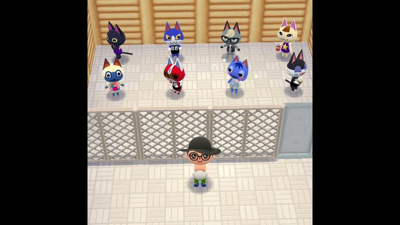 緊急事態宣言の全面解除を正式決定した。ポケ森のねこちゃんたちも解放！ - YouTube