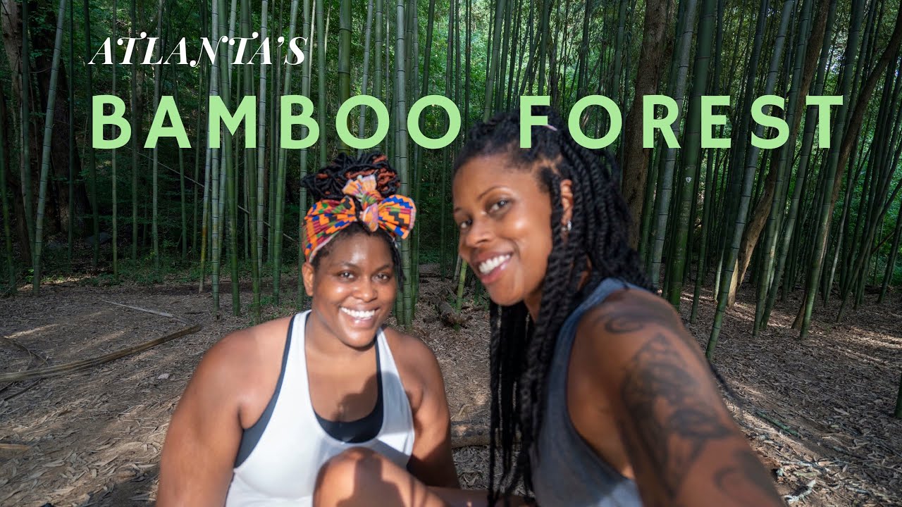 Atlanta's HIDDEN BAMBOO FOREST | East Palisades Trail Hike - YouTube