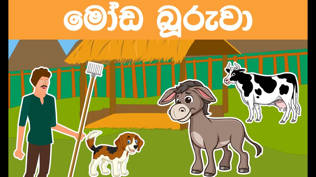 මෝඩ බූරුවා | Sinhala cartoon | sinhala fairy tales | katun Kathandara ...