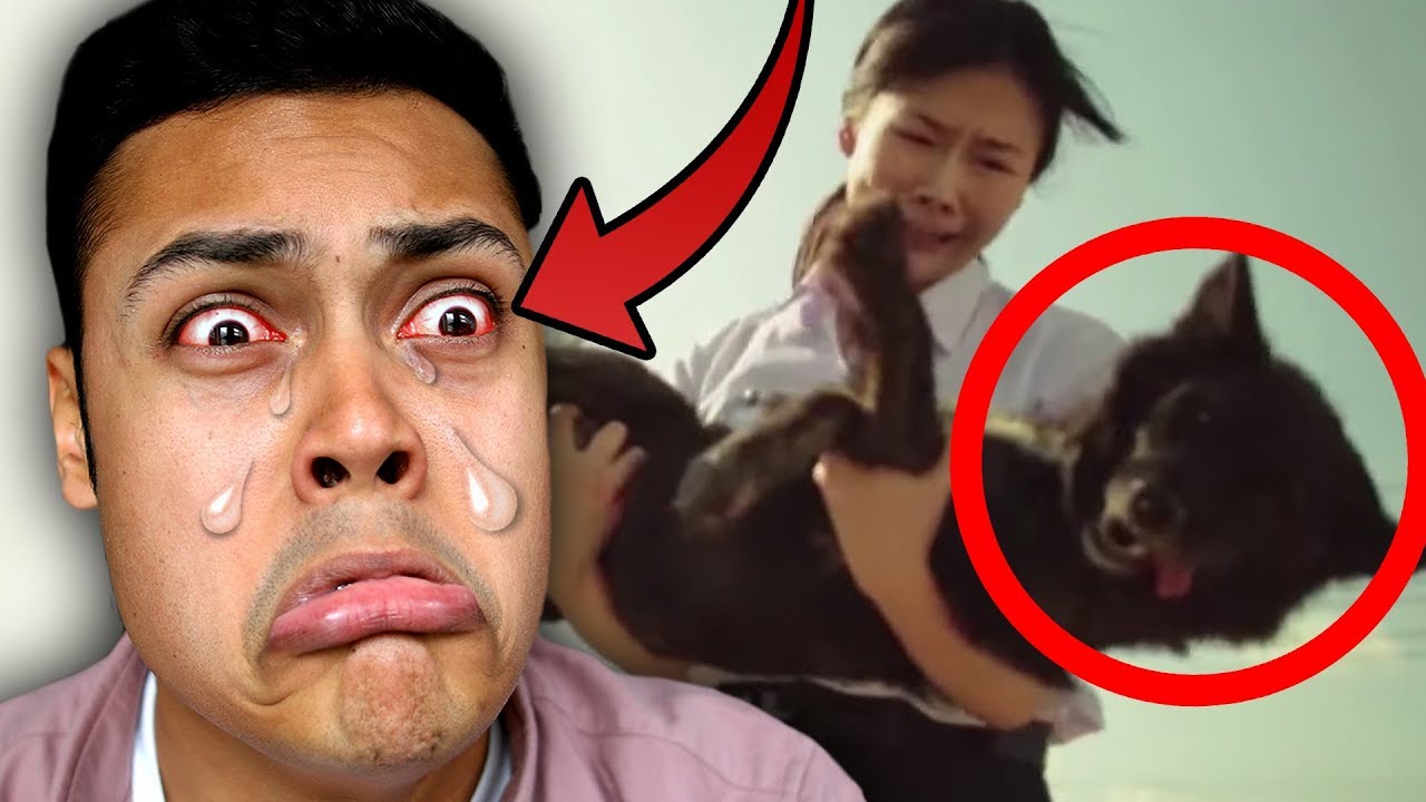 REACTING TO THE MOST SAD VIDEOS IN 2017 (YOU 100% WILL CRY) - YouTube