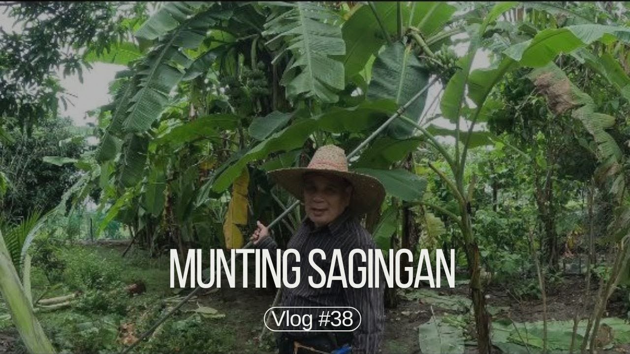 Munting Sagingan - YouTube
