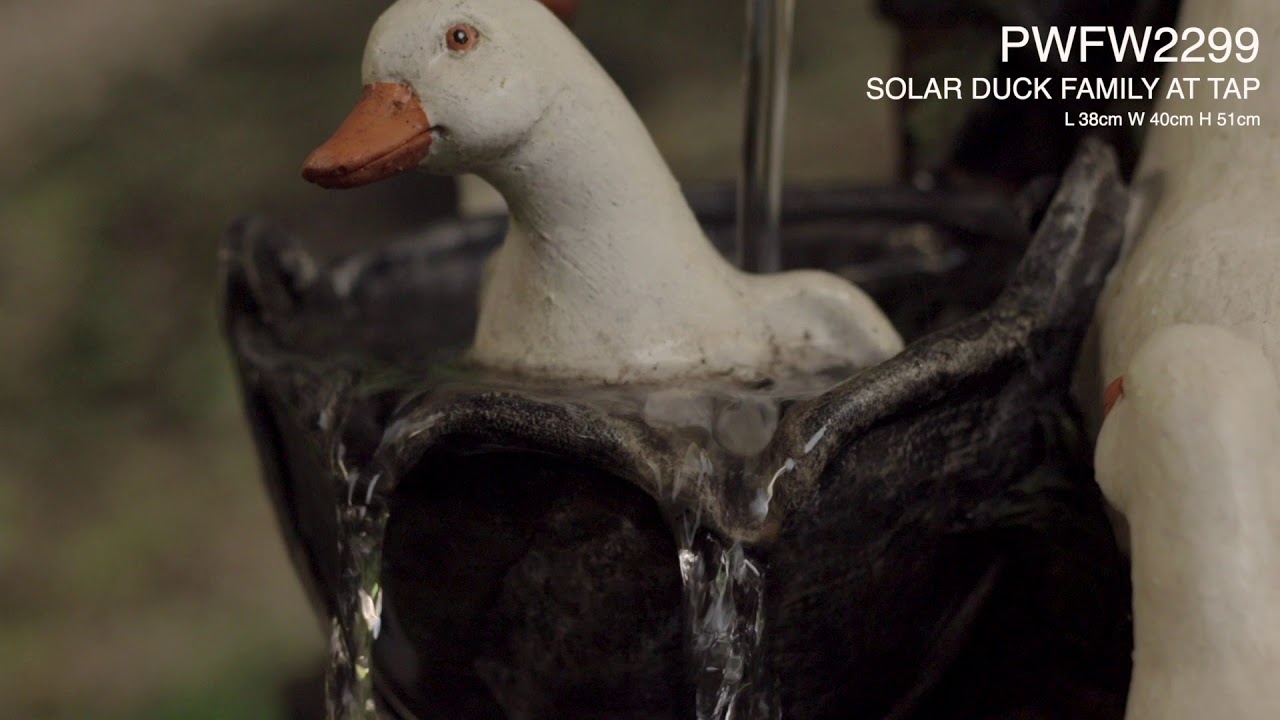 PWFW2299 SOLAR DUCK FAMILY AT TAP - YouTube