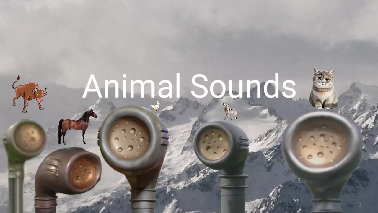 Voice Trumpet Animal Sounds (2017) - YouTube