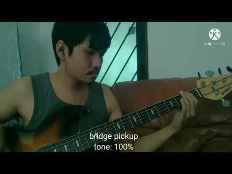 Yamaha BB425 Sound Sample (Fingerpicking & Slap)