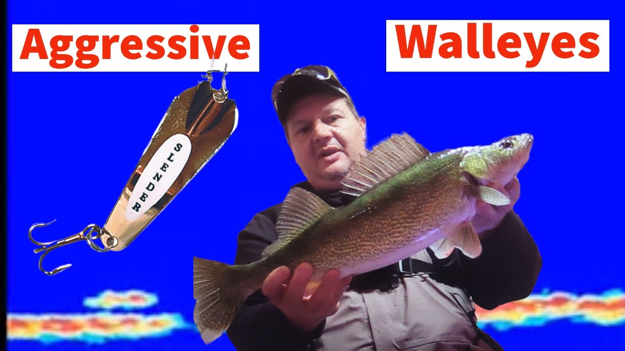 Ice Fishing AGGRESSIVE Walleyes on Slender Spoons! #fishing #icefishing ...