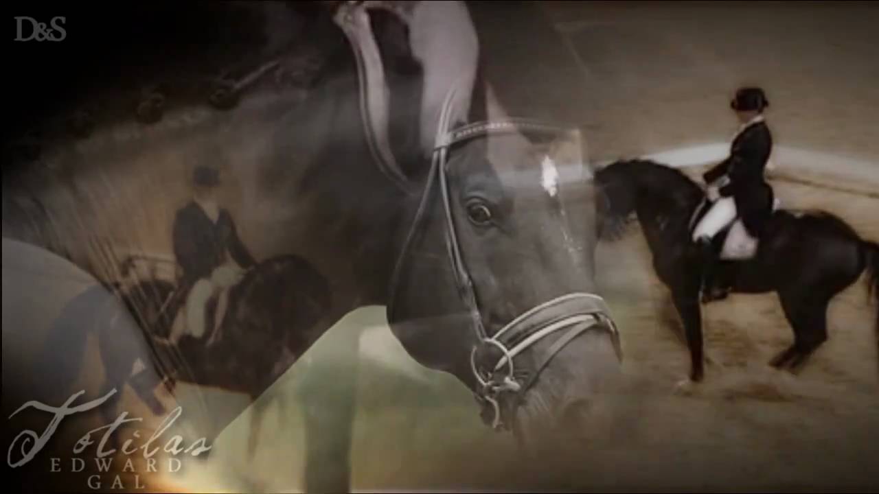 Dressage All-Stars || Equestrian - YouTube