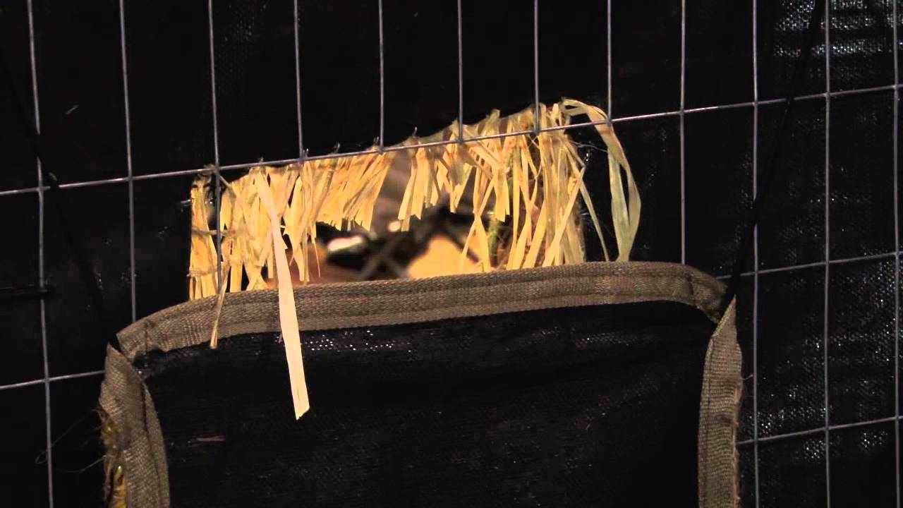 Blind Ambition Bale Blinds Outfitter Bale Blind - YouTube