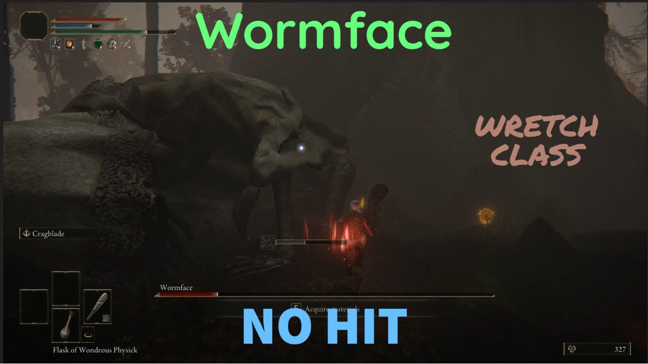 Wormface Boss Fight (no hit) Elden Ring - YouTube