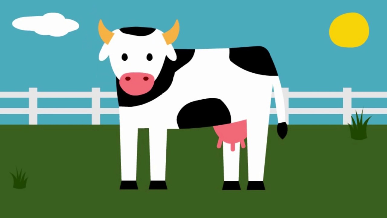 EL BUHO BOO - Animalitos. - YouTube