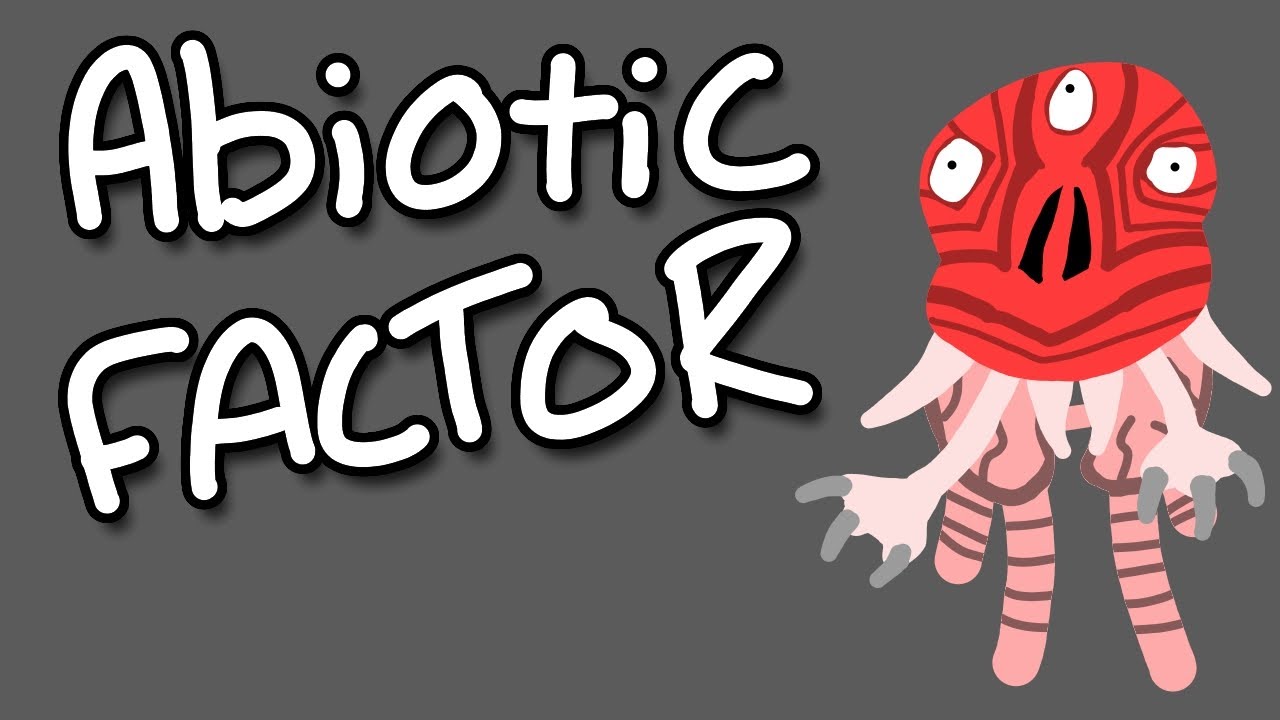 lost internet lol - YouTube