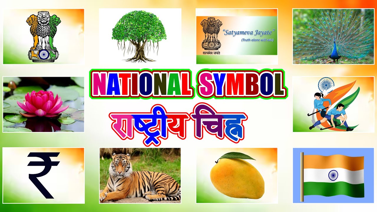India National symbols of HINDI & ENGlish|राष्ट्रीय प्रतीक हिंदी और ...