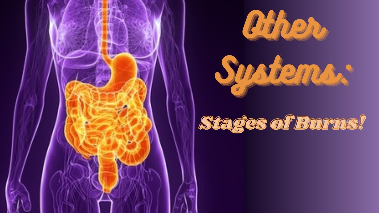 NPTE Other Systems: Stages of Burns with PRACTICE Questions! - YouTube