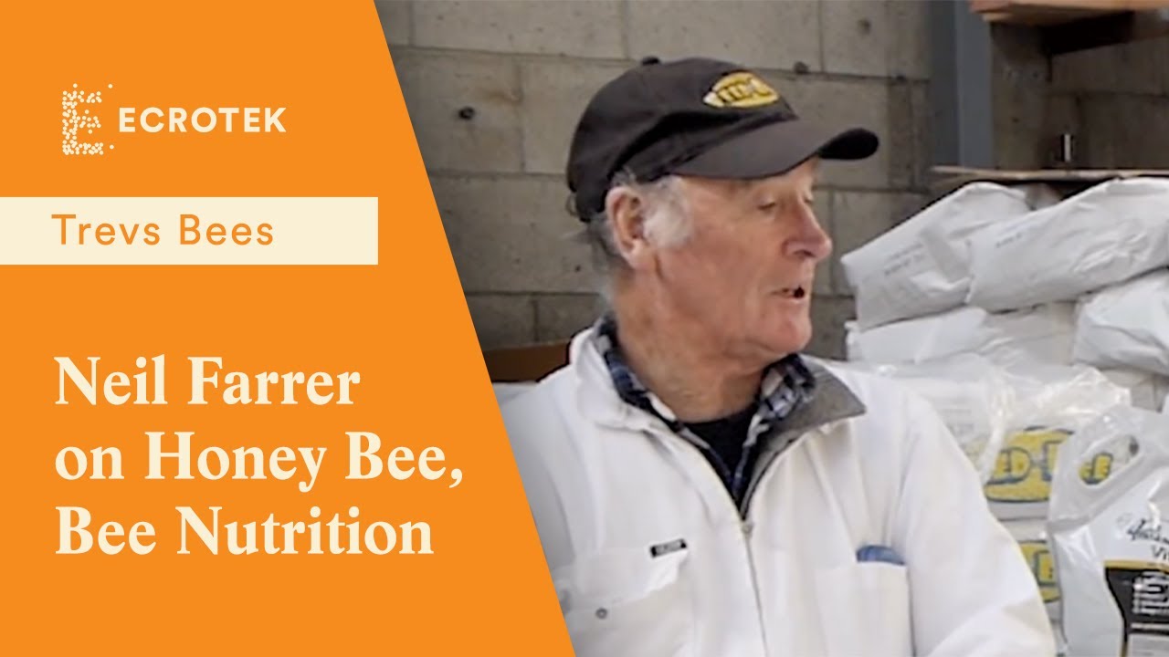 Trevs Bees - Neil Farrer on Honey Bee, Bee Nutrition. - YouTube