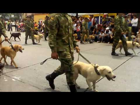 DEEFILE MILITAR 2016