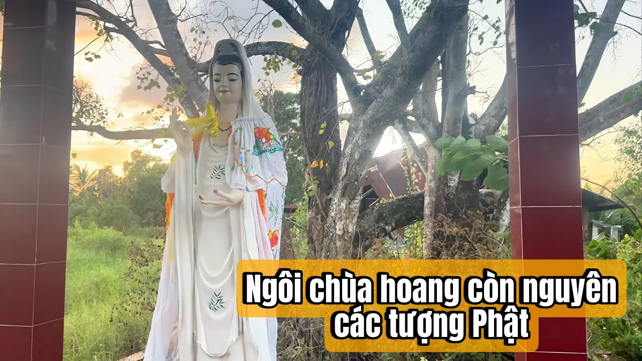 [Tập #187] Căng Thẳng tột cùng khi bất ngờ nghe tiếng gõ mõ trong Chùa ...