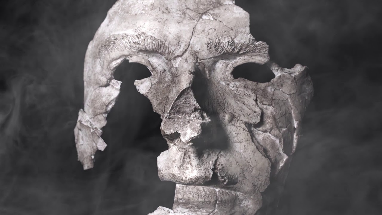 Jorge Elbrecht "Here Lies" LP for release spring 2018 - YouTube