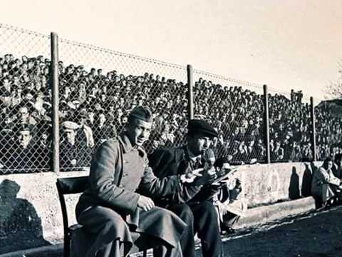 Delfini-Stari plac