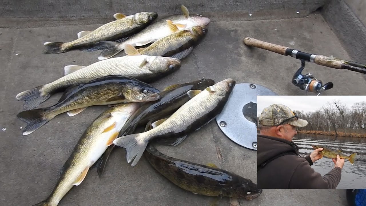 Walleye Fishing Battle with local Legend! 50+ Walleyes! - YouTube