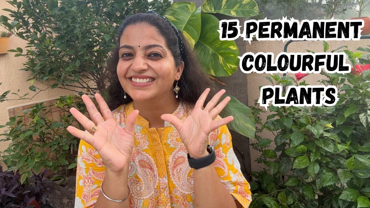 🌈15 Permanent Colorful Plants🪴 | Yeh paudhe daal denge apki plant ...