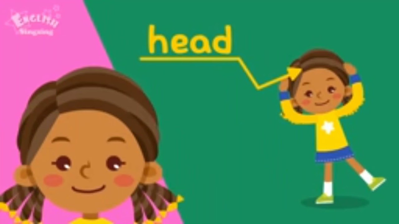 Body parts 1 evs L11 - YouTube