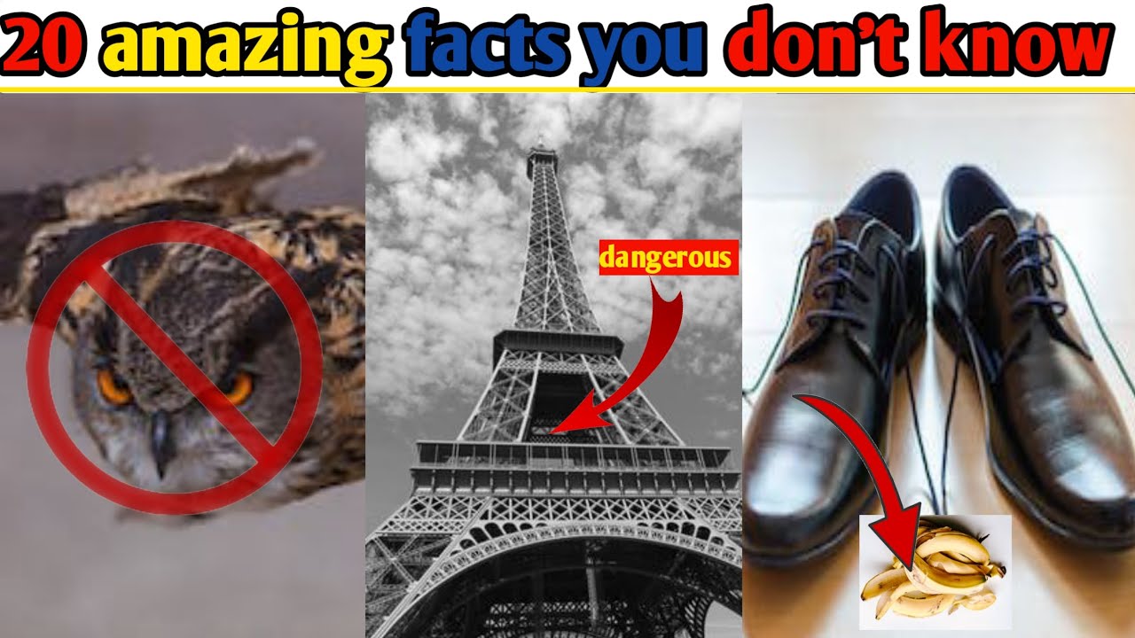 20 amazing facts you don't know||random facts||#fact - YouTube