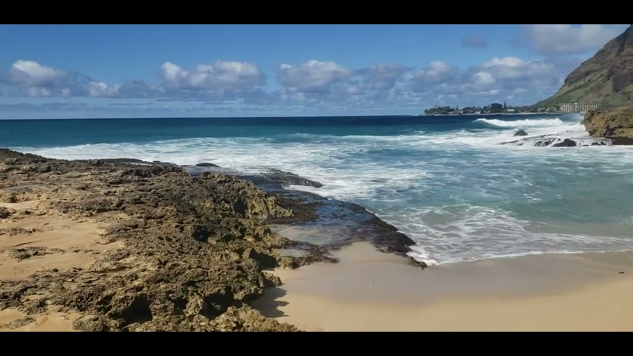 Aloha Honu Sea Turtle Tourist Saga - YouTube