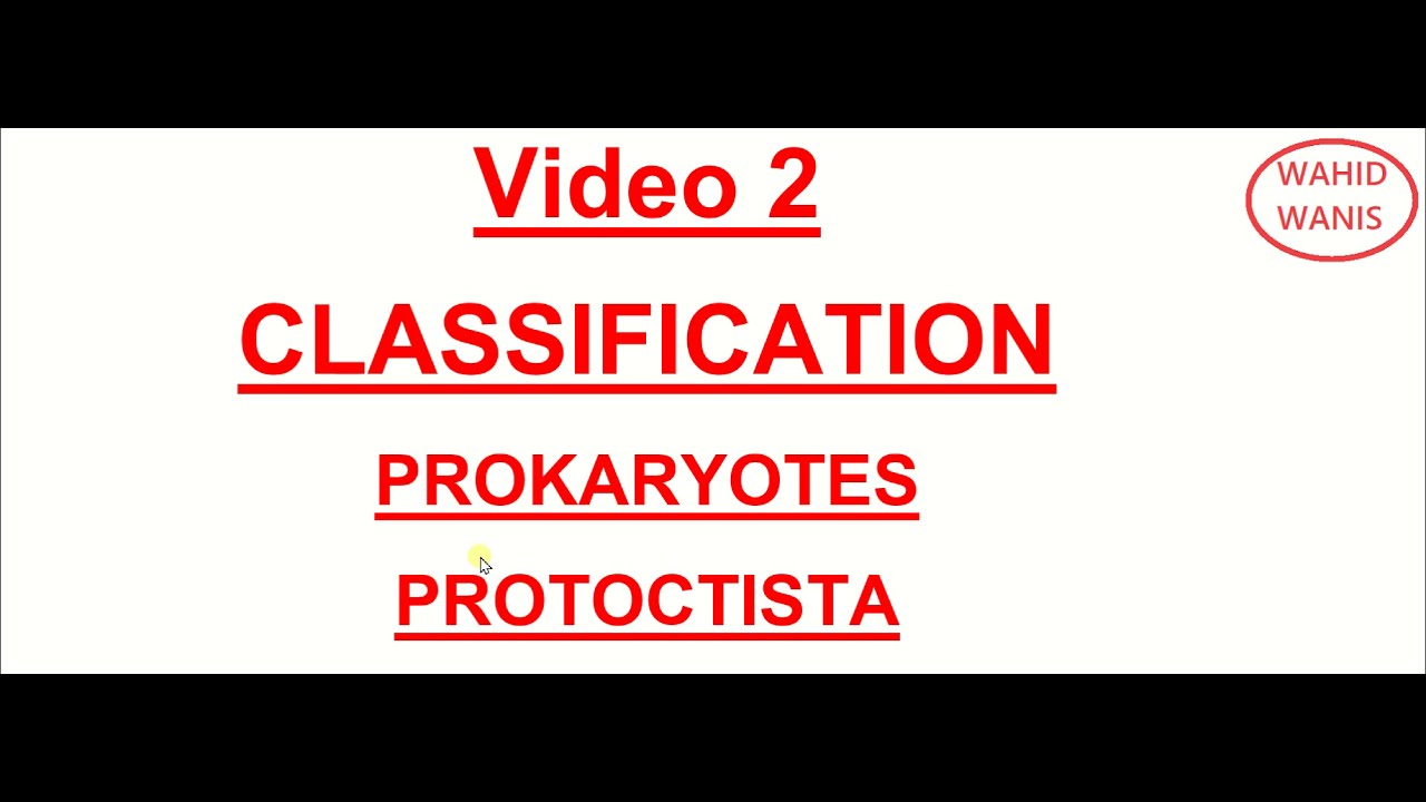 [FULL UNDERSTANDING BIOLOGY COURSE video 2 classification - YouTube
