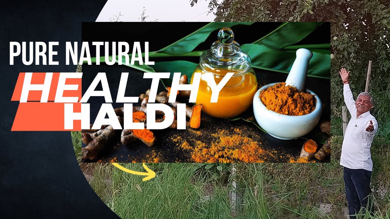 HOW TO GROW TURMERIC OR HALDI THE NATURAL WAY. - YouTube