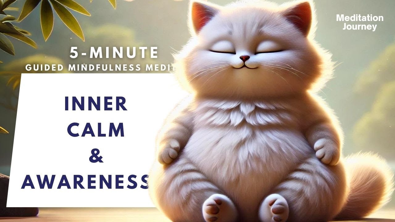 5-Minute Guided Mindfulness Meditation for Inner Calm & Awareness 🌸 ...