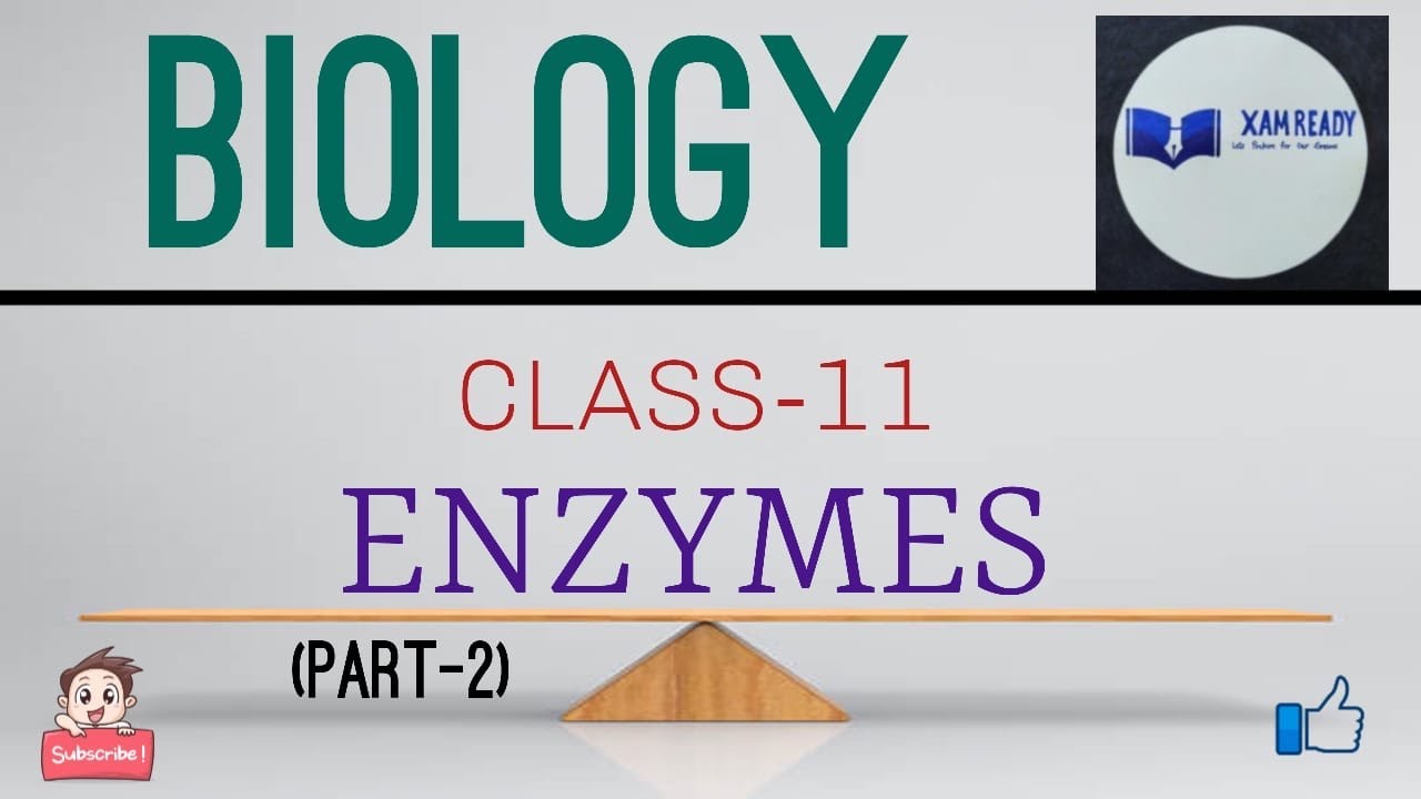 CLASS 11|| BIOLOGY|| BIOMOLECULES || INHIBITION OF ENZYME ACTIVITY ...