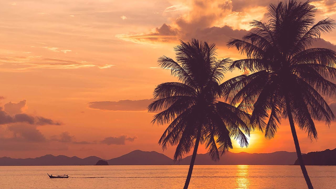 "Hawaii"🌴Trap Beat Instrumental 🔥| Rap Type Beat 🎹 | 2023 | Prod by ...