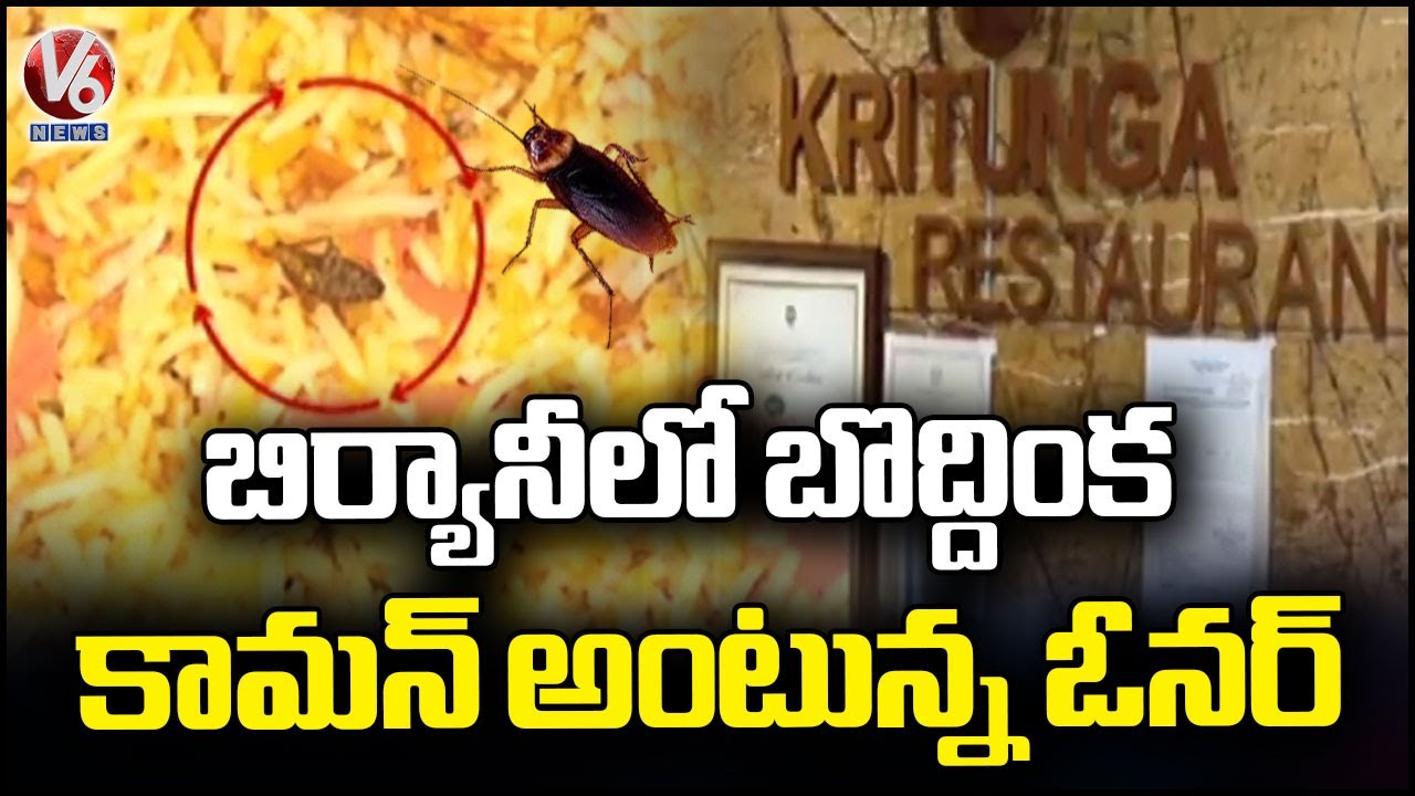 Cockroach Found In Biryani At Kritunga Restaurant | Hyderabad | V6 News ...