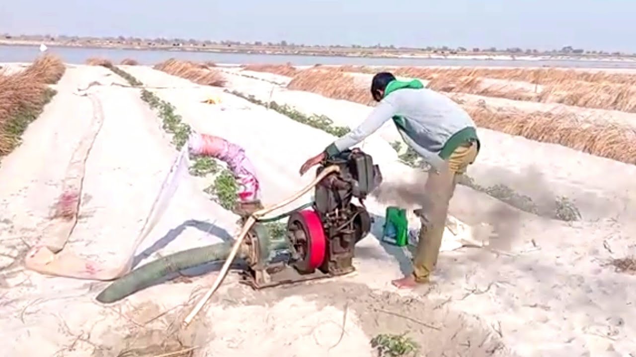 Excellent way of irrigation by cutting small pieces from a large pipe ...