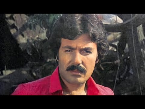 Ferdi Tayfur 1981 Almanya Konseri - Batan Güneş