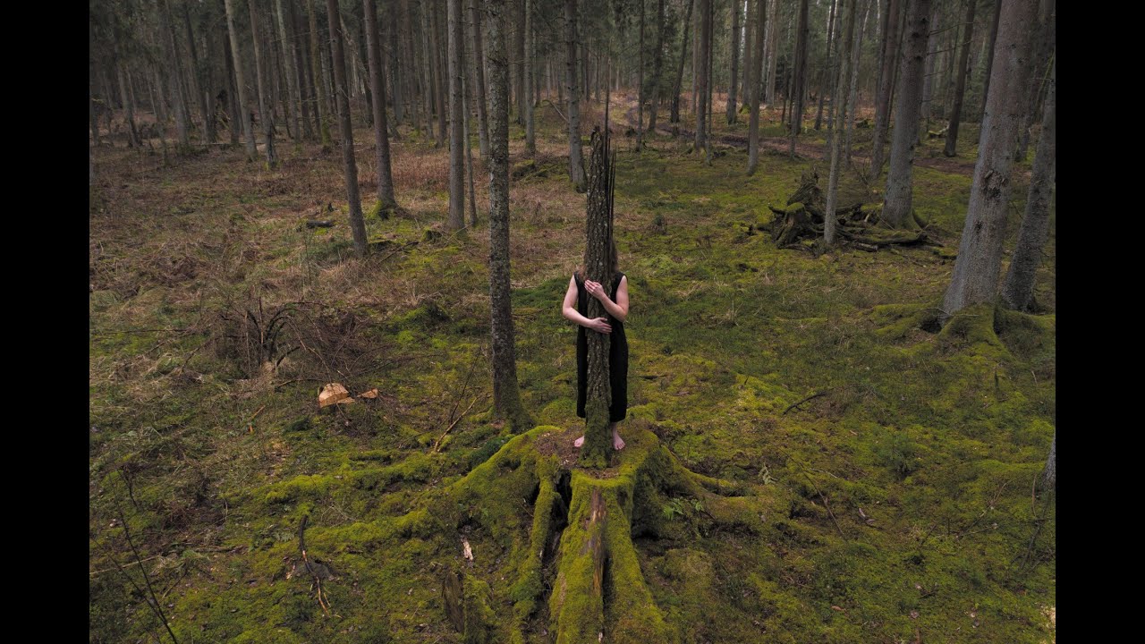 Gifts from the Sentient Forest Exhibition Preview, 10 June-1 August ...