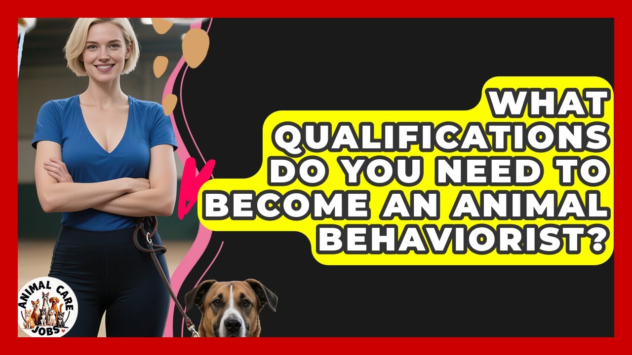 What Qualifications Do You Need to Become an Animal Behaviorist ...