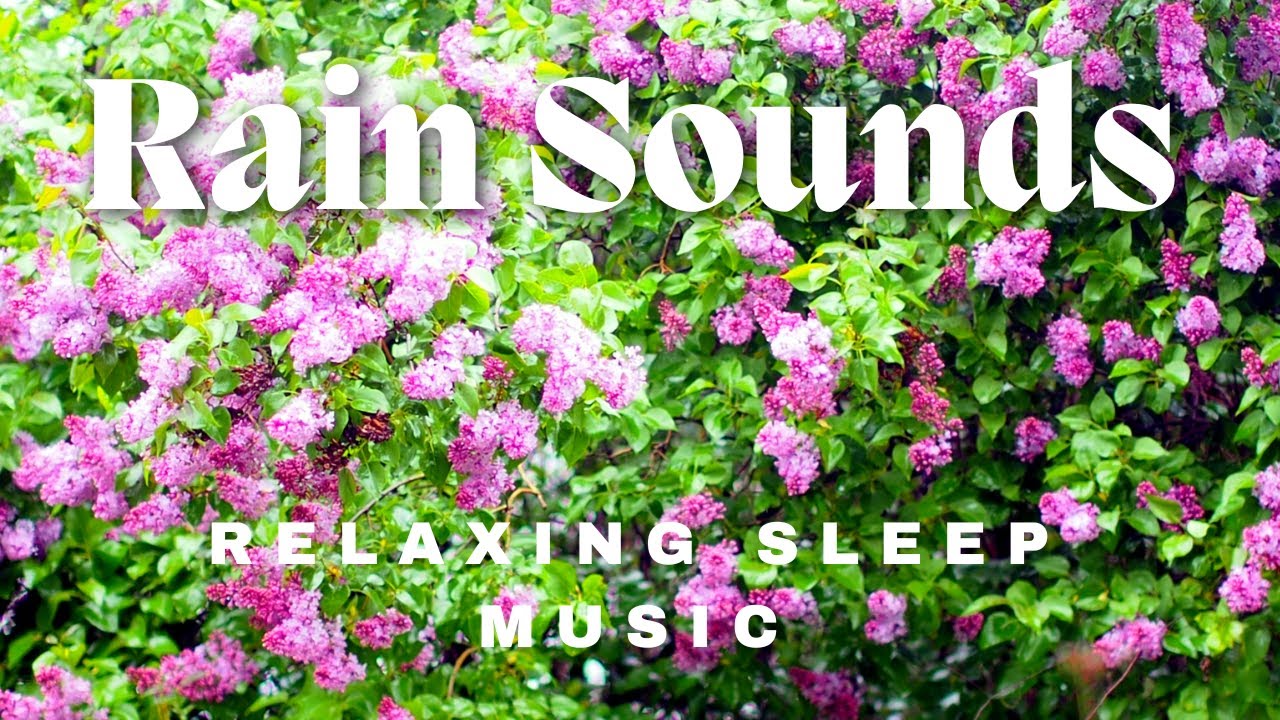 Rainy Lullabies Sleeping Video With The Natural Sound Of Rain 1 Hour