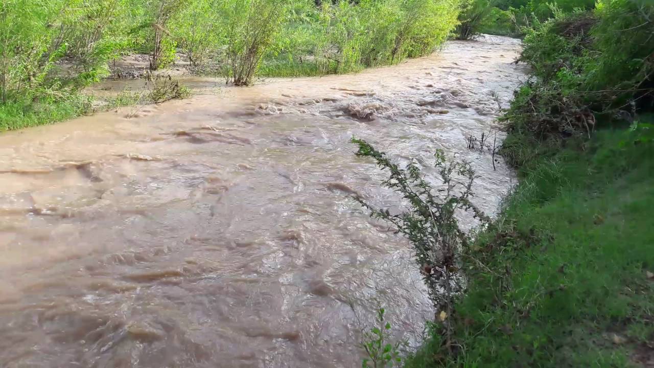 El Gavilán Río Sonora . - YouTube